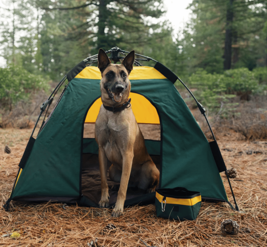 Pet Glamping Gear Category | SLX Hospitality