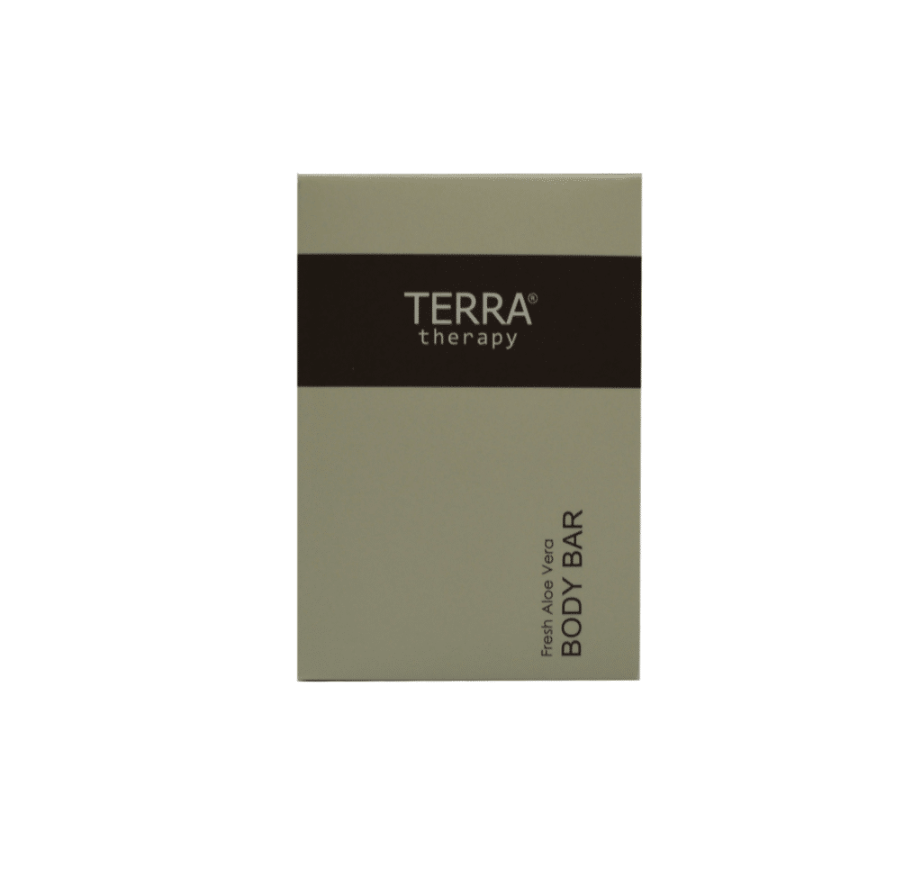 Terra Therapy 42 g Cleansing Bar Carton | SLX Hospitality